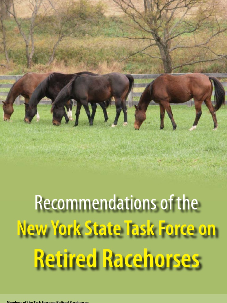 NYS Task Force On Retired Racehorses - FINAL REPORT | PDF | Horse ...