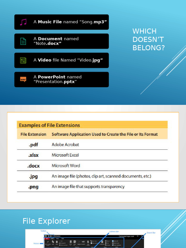 File Extensions | PDF