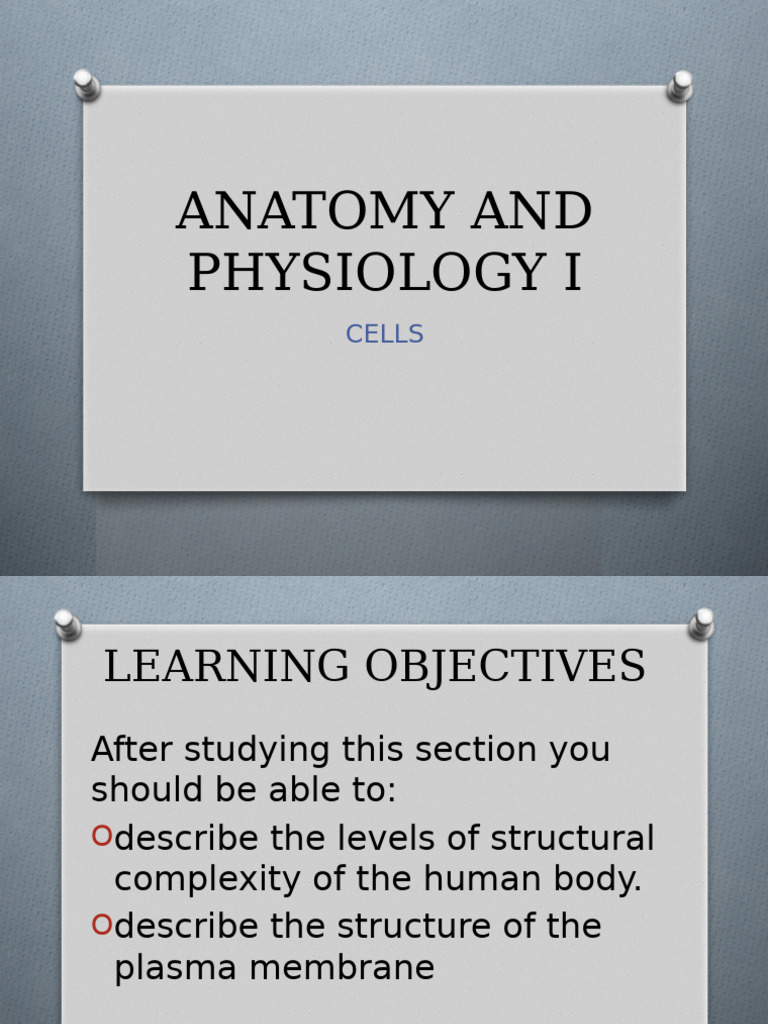 Anatomy 1 Cells | PDF