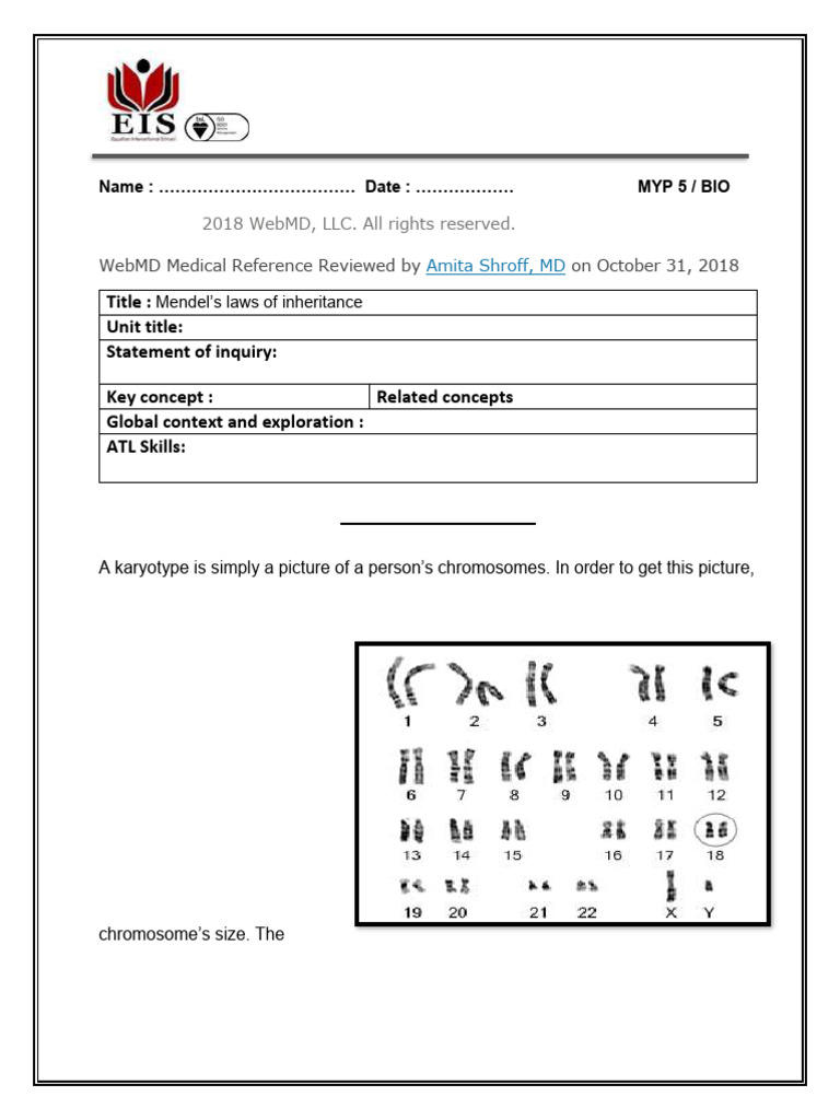 What Is A Karyotype | PDF