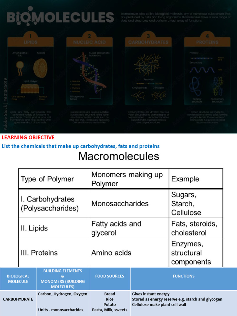Biological Molecules | PDF