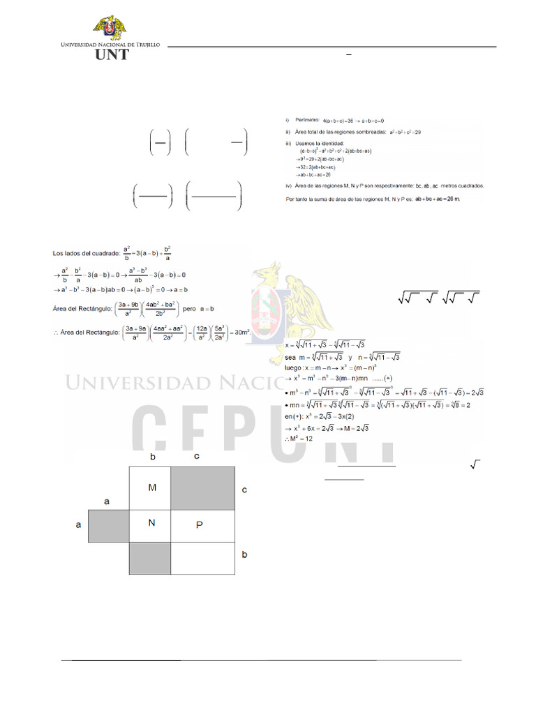 11 Solucionario Vásquez 2023 II Sol | PDF