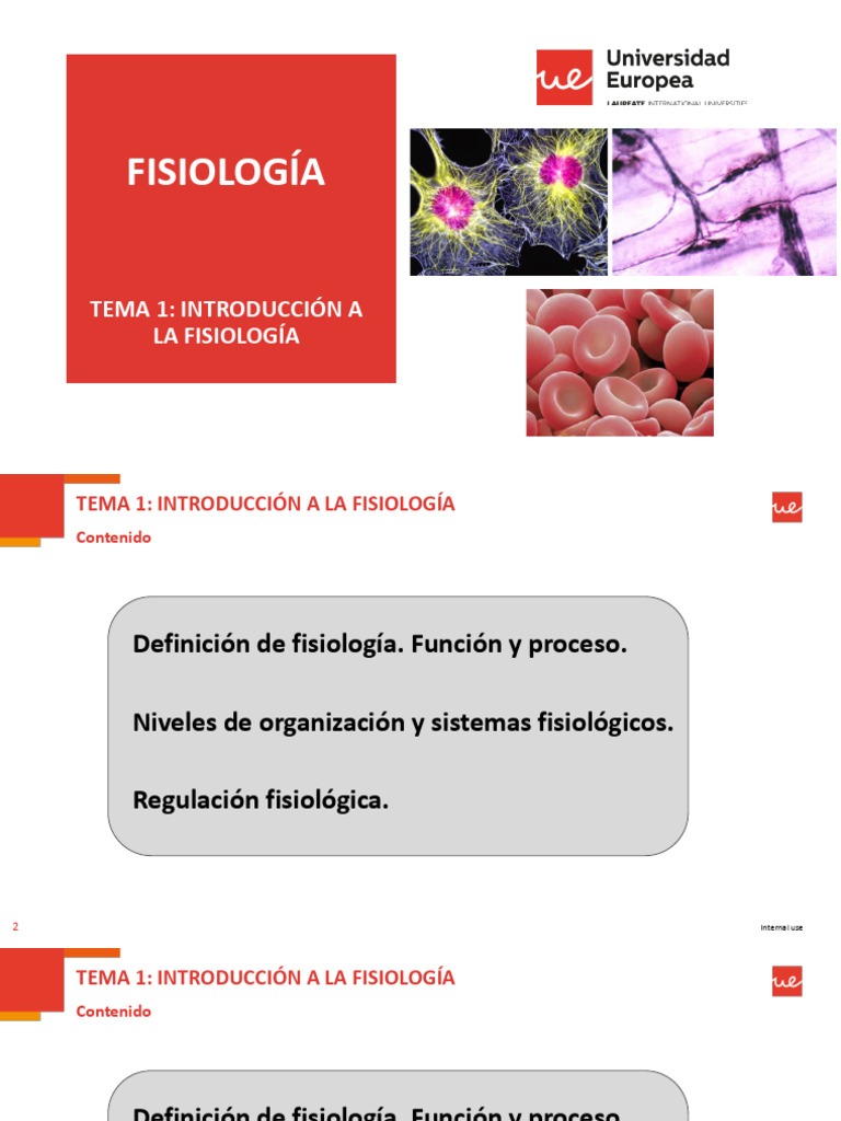 Fisio T1 | PDF