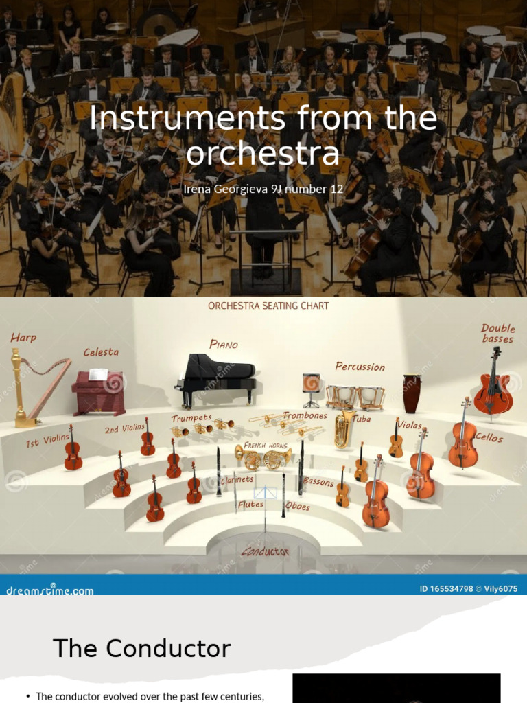 Instruments From The Orchestra | PDF