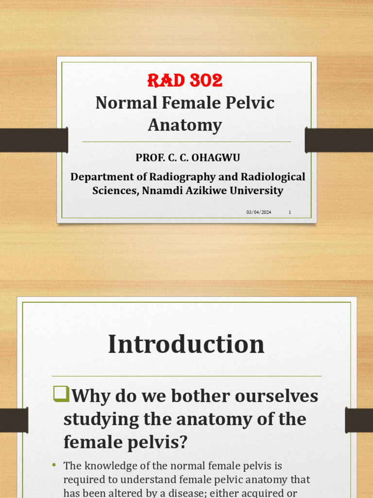 Normal Female Pelvic Anatomy_compressed | PDF