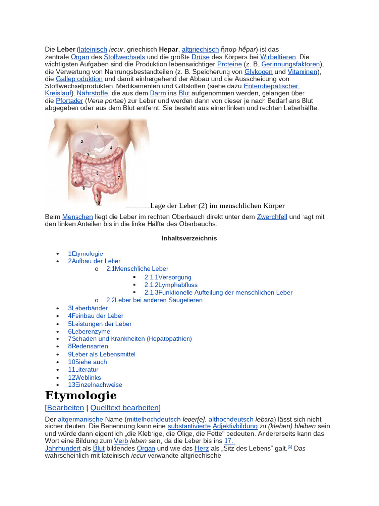 Leber | PDF