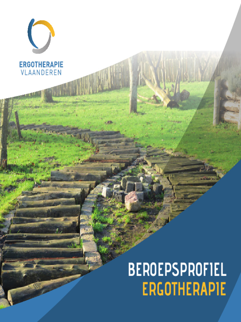 Ergotherapie Beroepsprofiel 2018 | PDF
