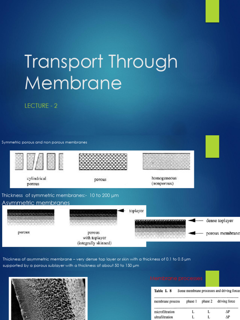 Transport Through Membrane | PDF