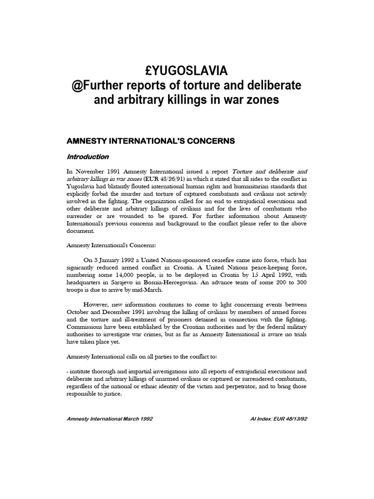 Amnesty International 1991 | PDF