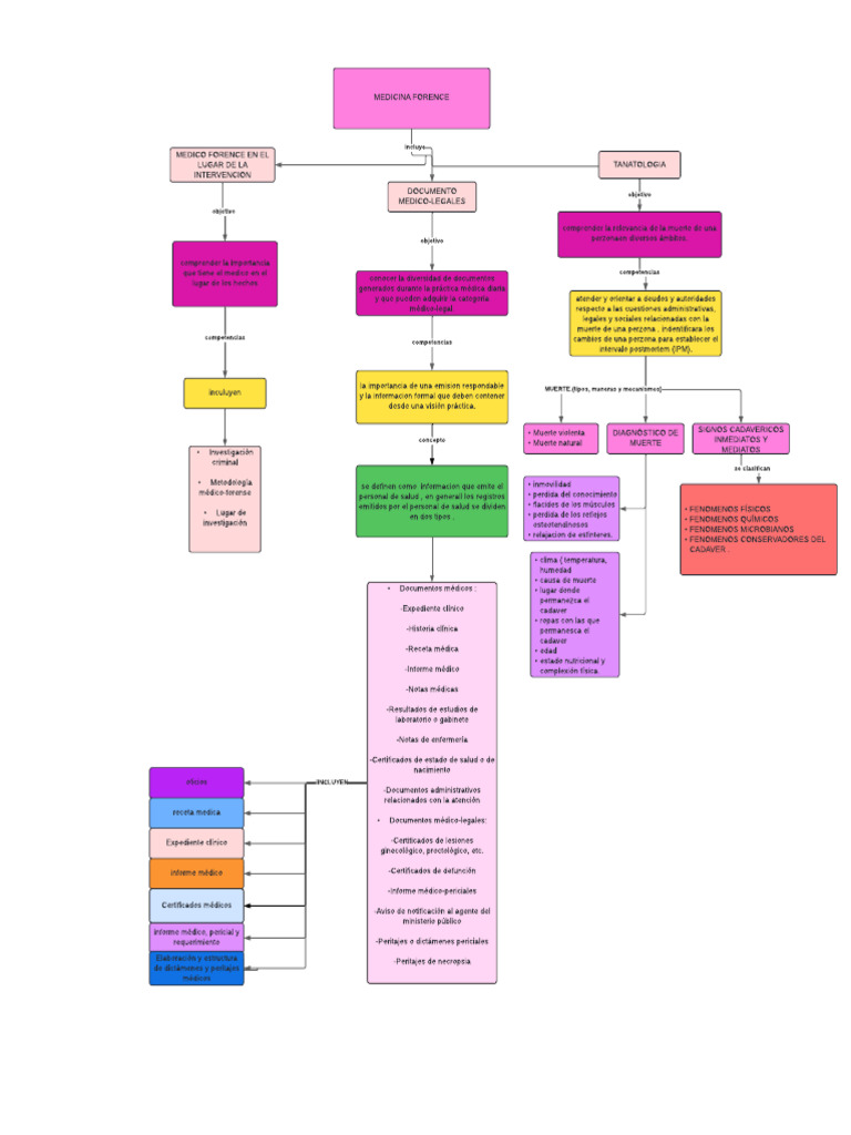 Mapa Conceptual | PDF