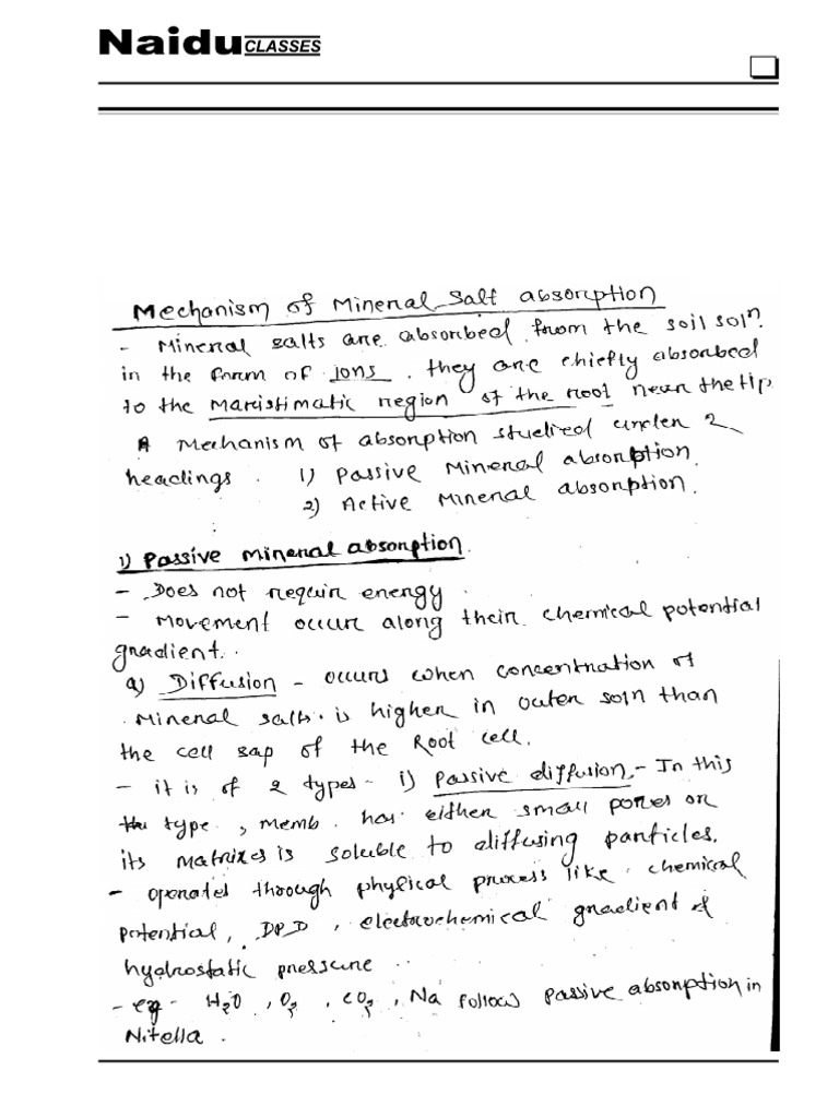 No. 32, Mechanism of Mineral Salt Absorption | PDF