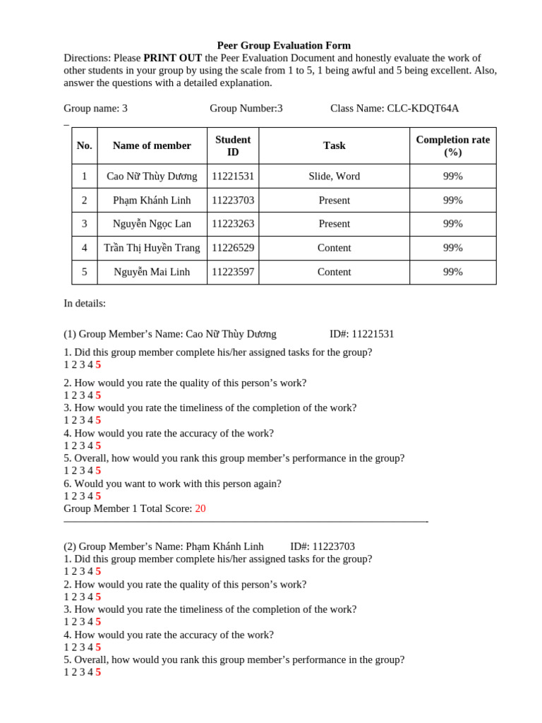 Peer Group Evaluation | PDF