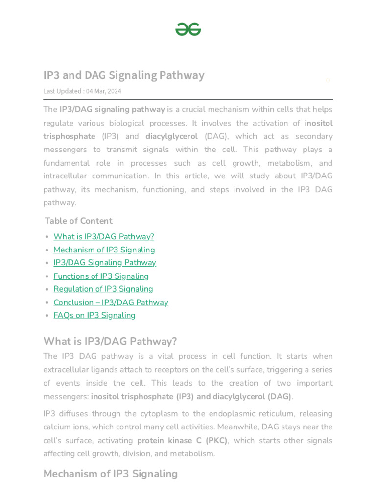 IP3 and DAG Signaling Pathway - Mechanism, Functions, and FAQs | PDF