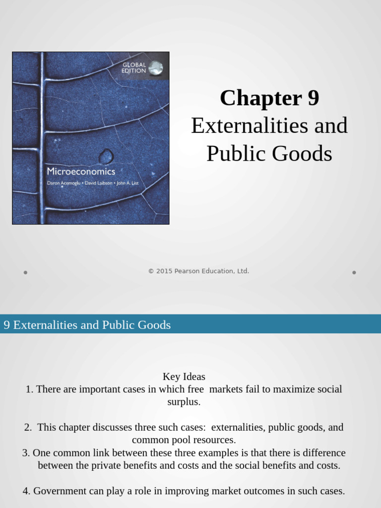 Chapter 9 Externality | PDF | Externality | Goods