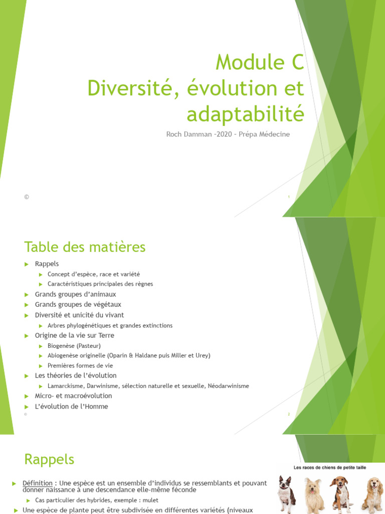 Bio - Module C - Evolution | PDF