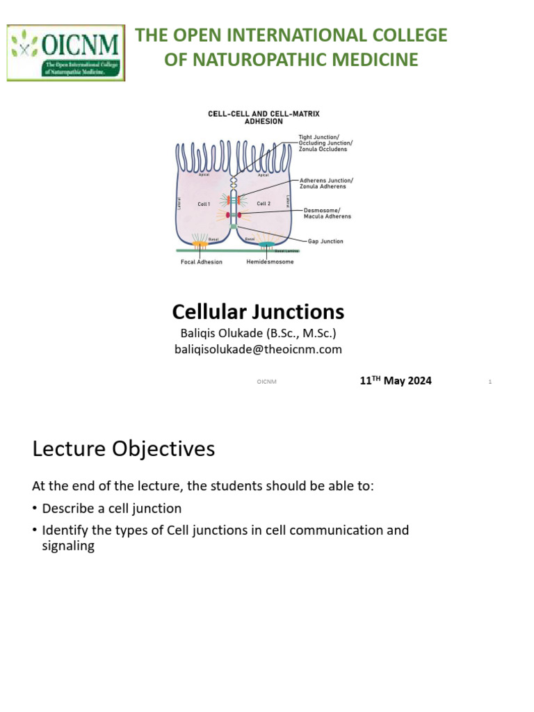 BMS 101 - Cellular Junction | PDF