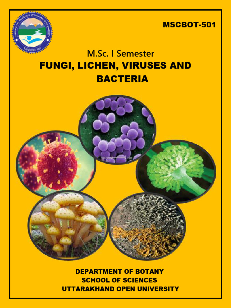 Mscbot-501 240921 005814 | PDF