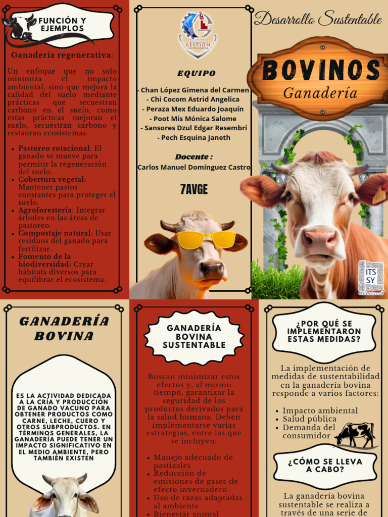 Bovino, Chan, Chi, Pech, Peraza, Poot, Sansores | PDF
