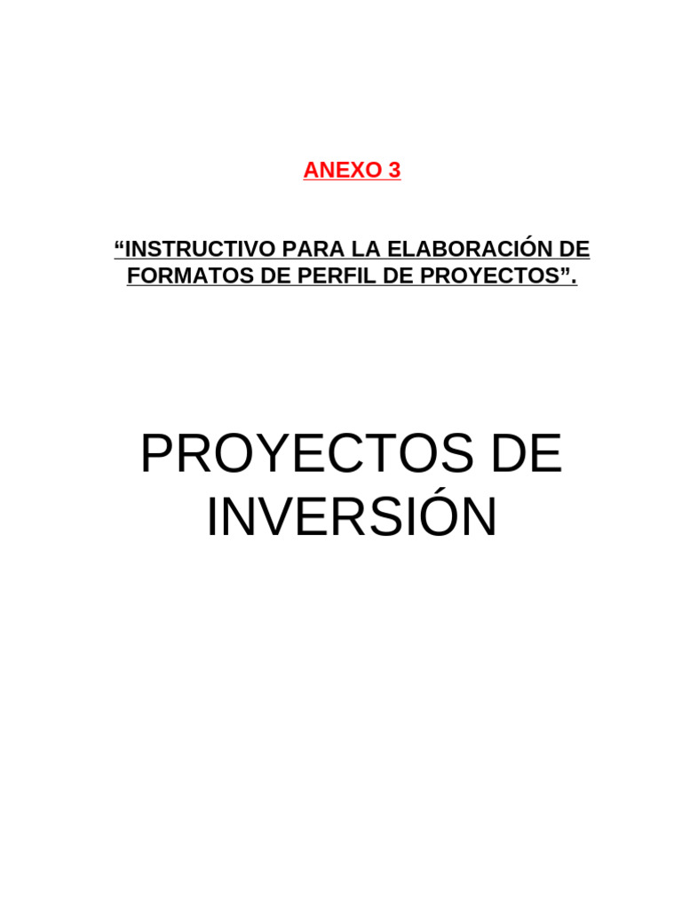 INSTRUCTIVO DE PERFIL DE PROYECTOS DE INVERSION | PDF