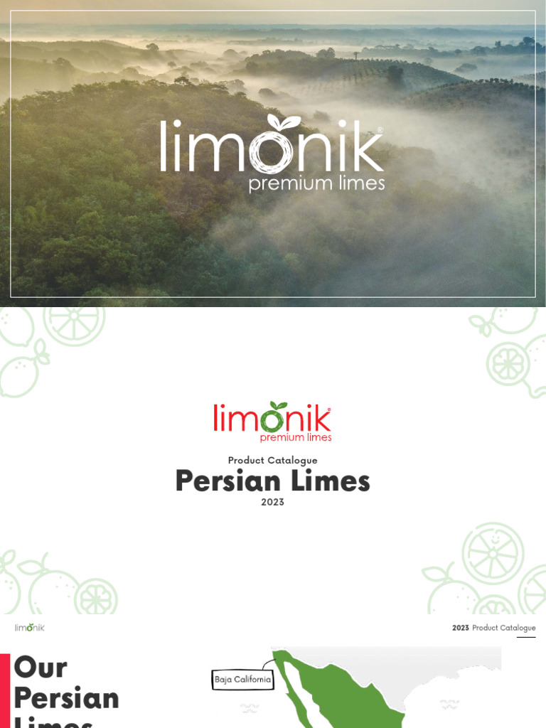 Persian Lime Product Guide | PDF | Tropical Fruit | Citrus