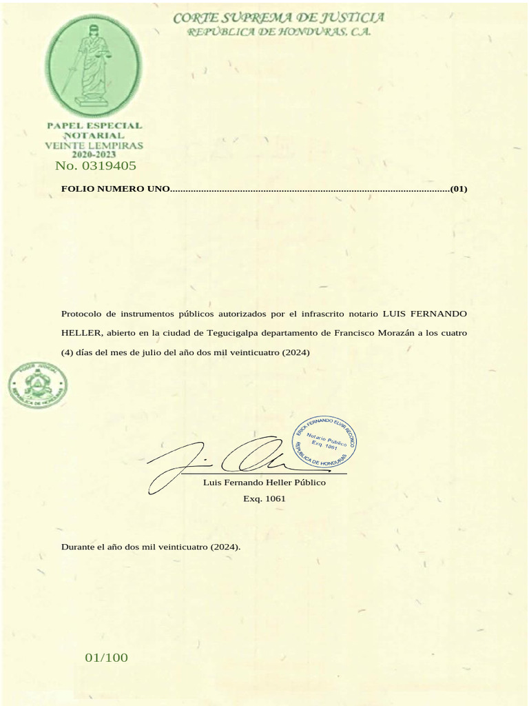 Protocolo Final Completo | PDF