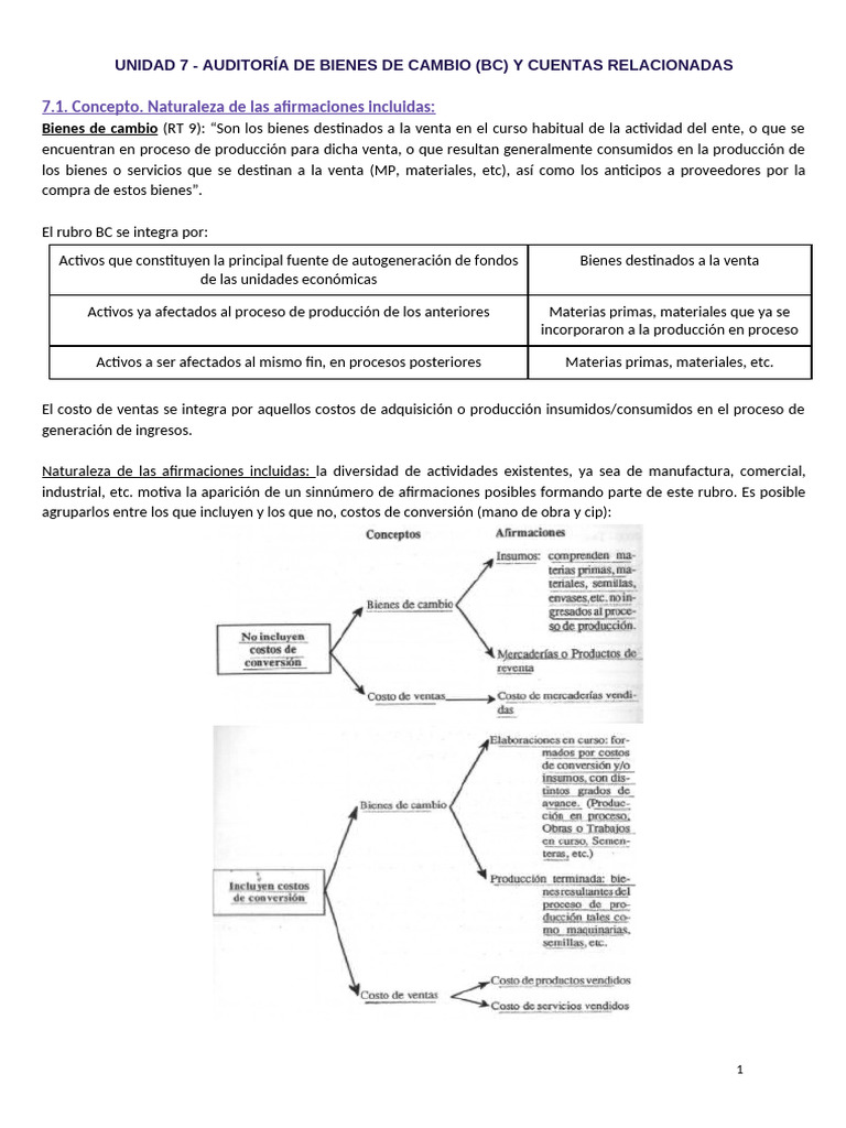 Unidad 7 - Bienes de Cambio | PDF