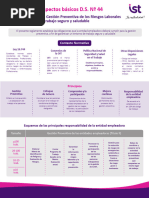 Formato Editable Mapas de Riesgos Ds 44 v1.1 | PDF