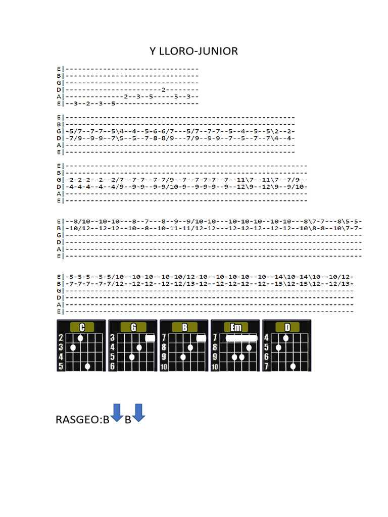 Y Lloro-Junior | PDF