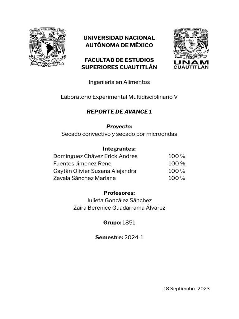 Reporte de Avance 1 | PDF