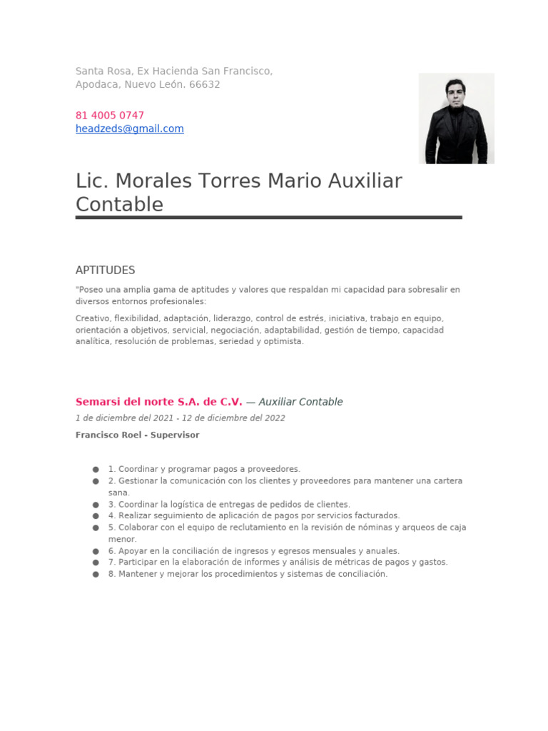 CV Mario | PDF