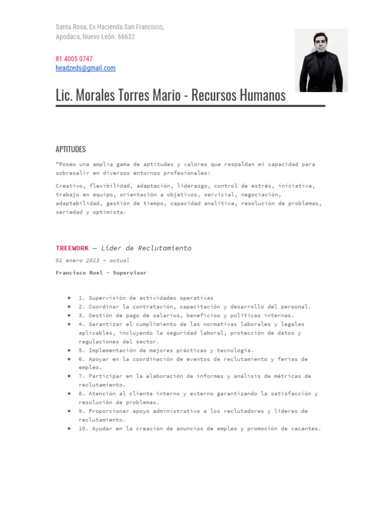 Curriculum Mario Morales RH | PDF