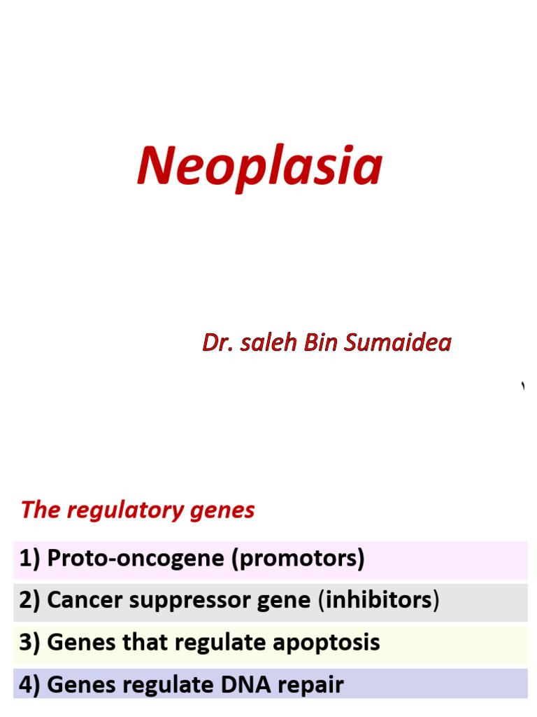 L13 Neoplasia 2 2024 | PDF
