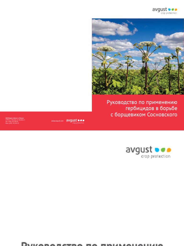 BS Firma Avgust | PDF