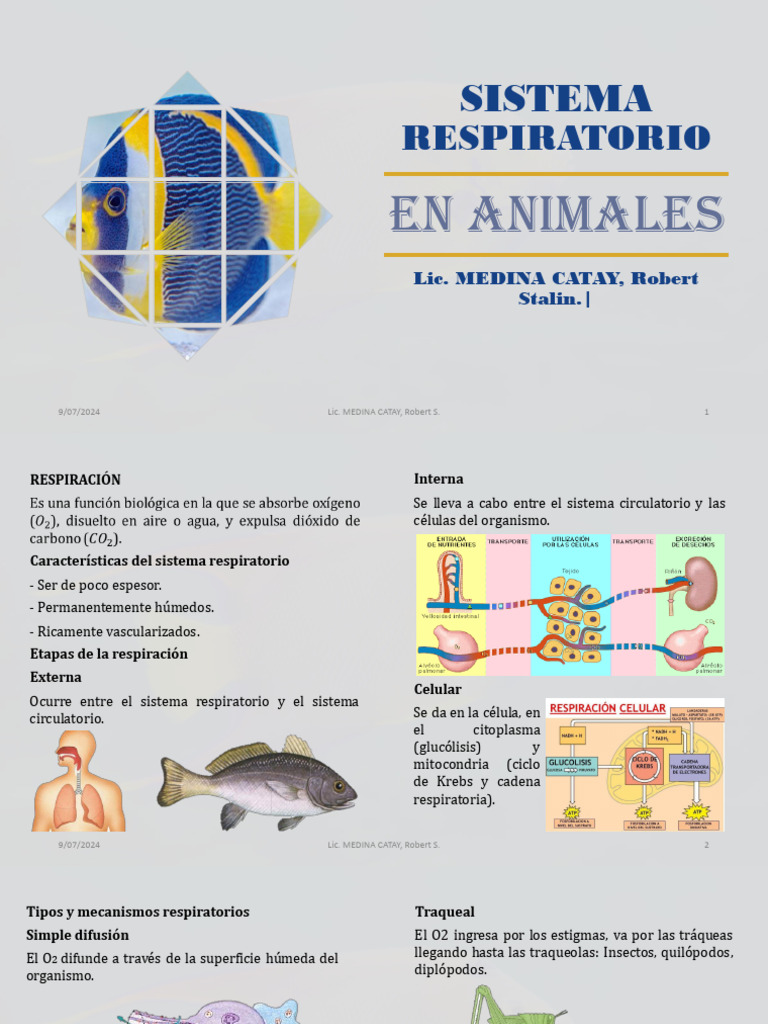 Respiratorio Animales | PDF