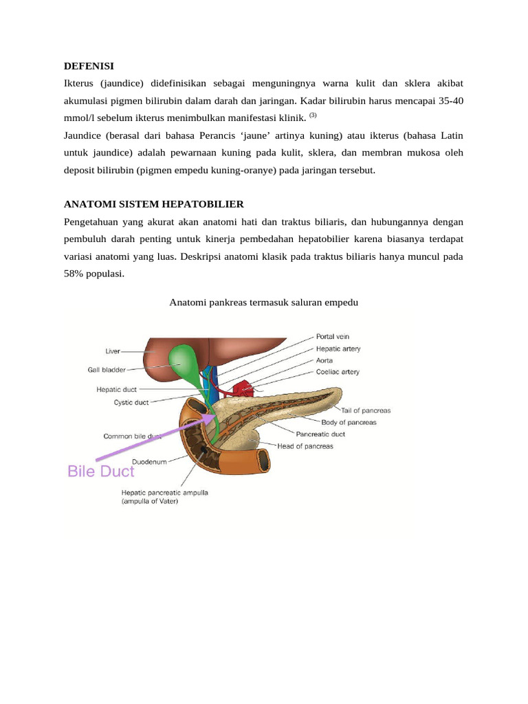 Definisi Ikterus | PDF