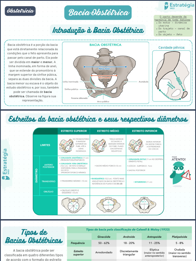 Mapa M | PDF