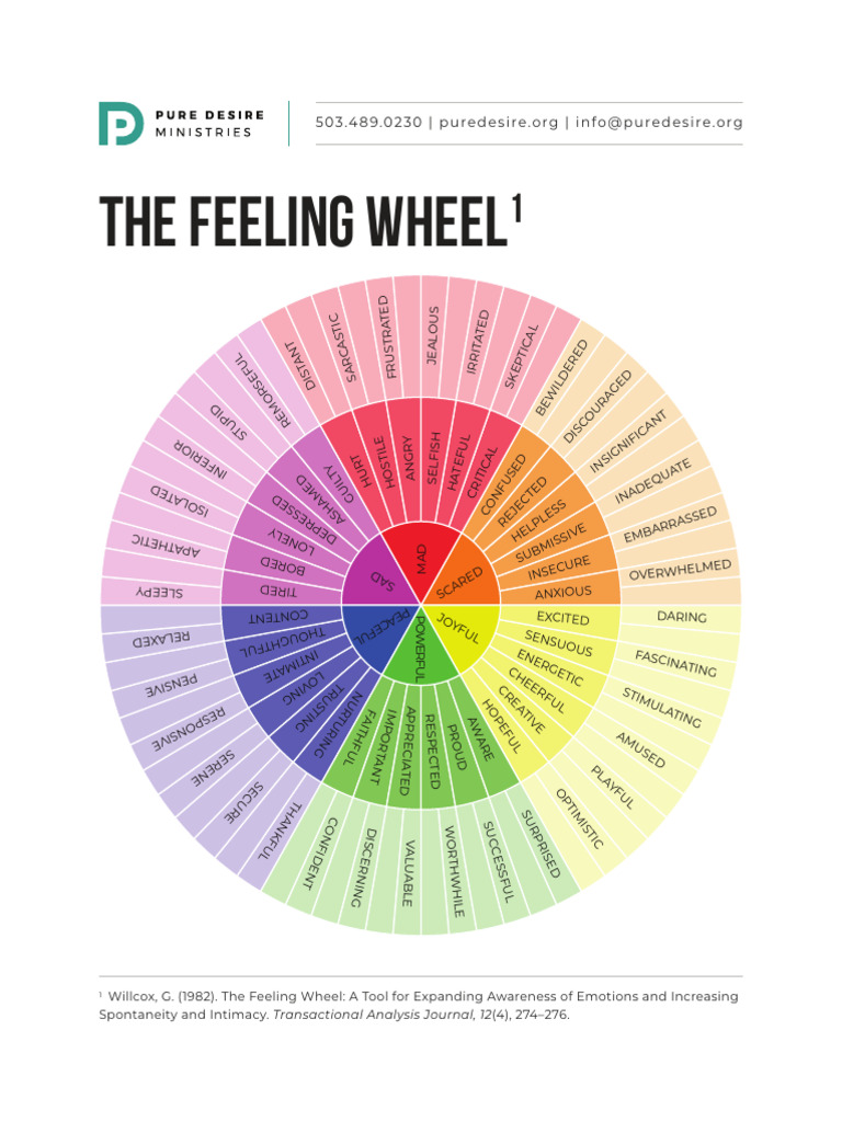 the-feeling-wheel-bibcev | PDF