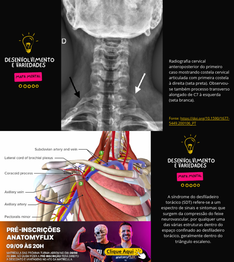 Mapa Mental Aula 4 RG | PDF | Science & Mathematics