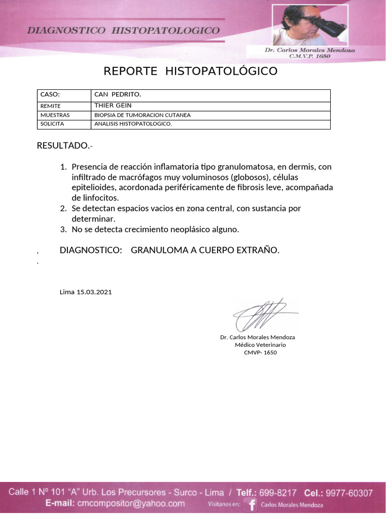 15 03 2021 TG Pedrito Granuloma A Cuerpo Extraño | PDF