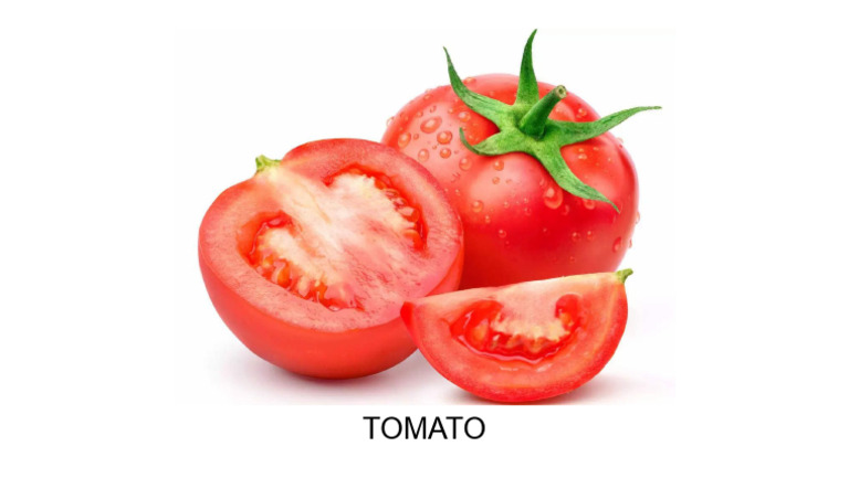 TOMATO | PDF