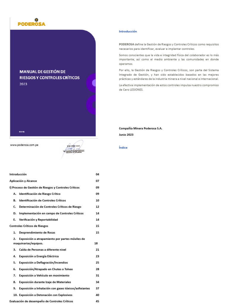 Manual de Gestión de Riesgos y Controles Críticos | PDF