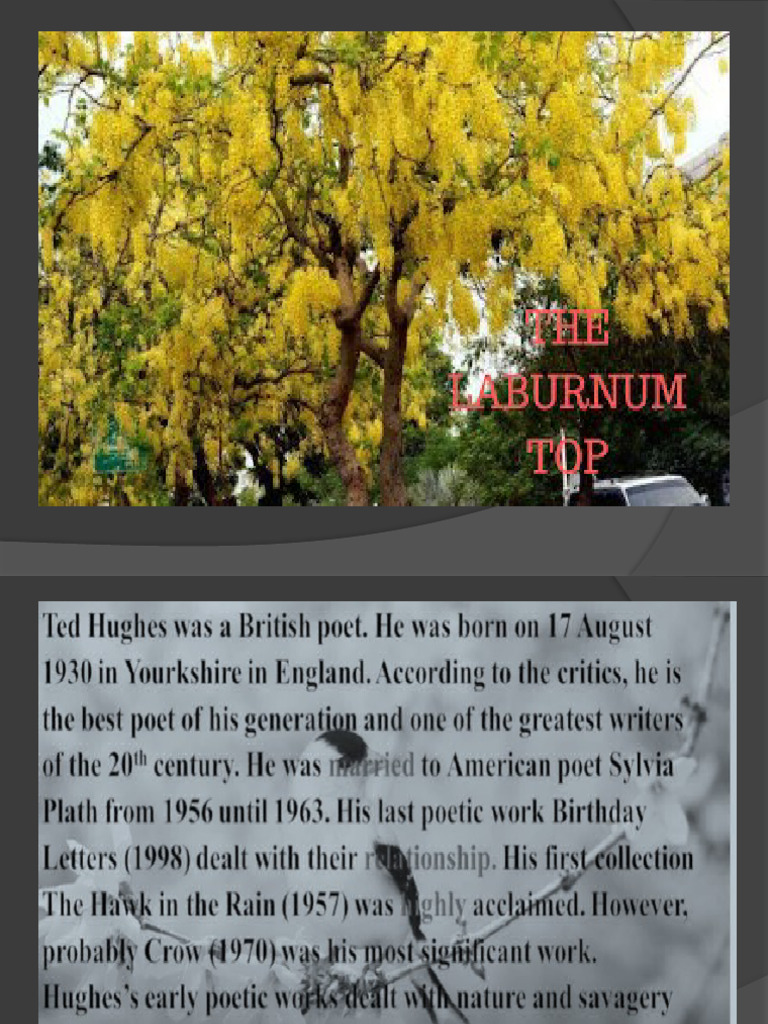 Laburnum Top | PDF