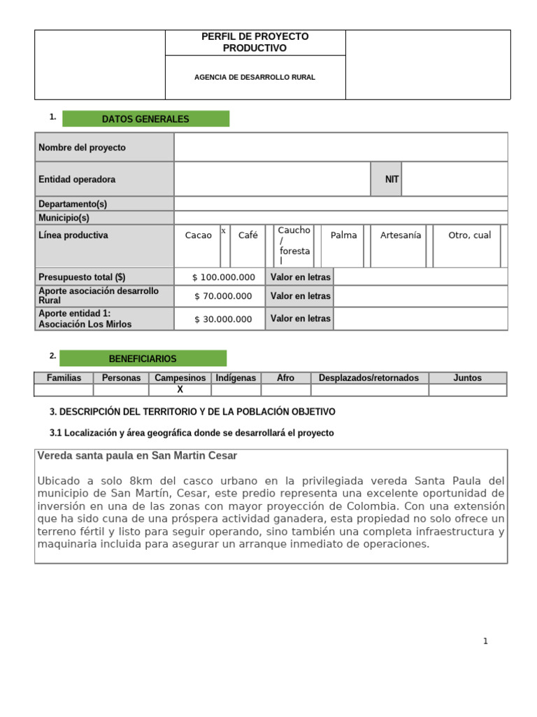 Perfil de Proyecto | PDF
