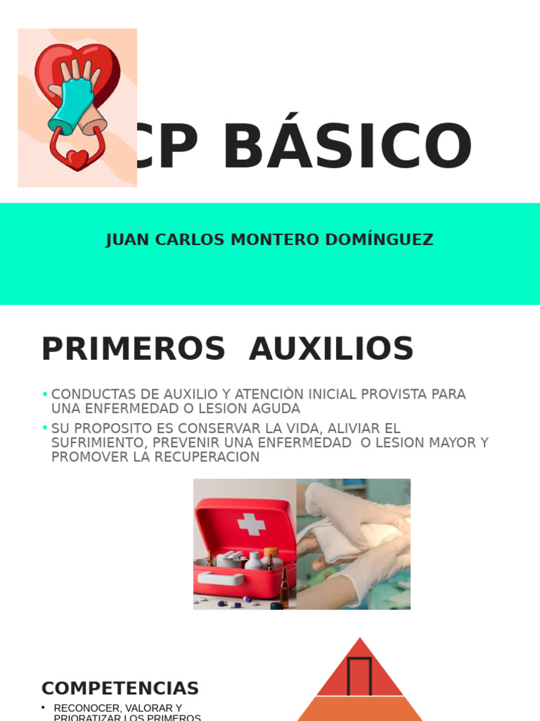 RCP Básico | PDF