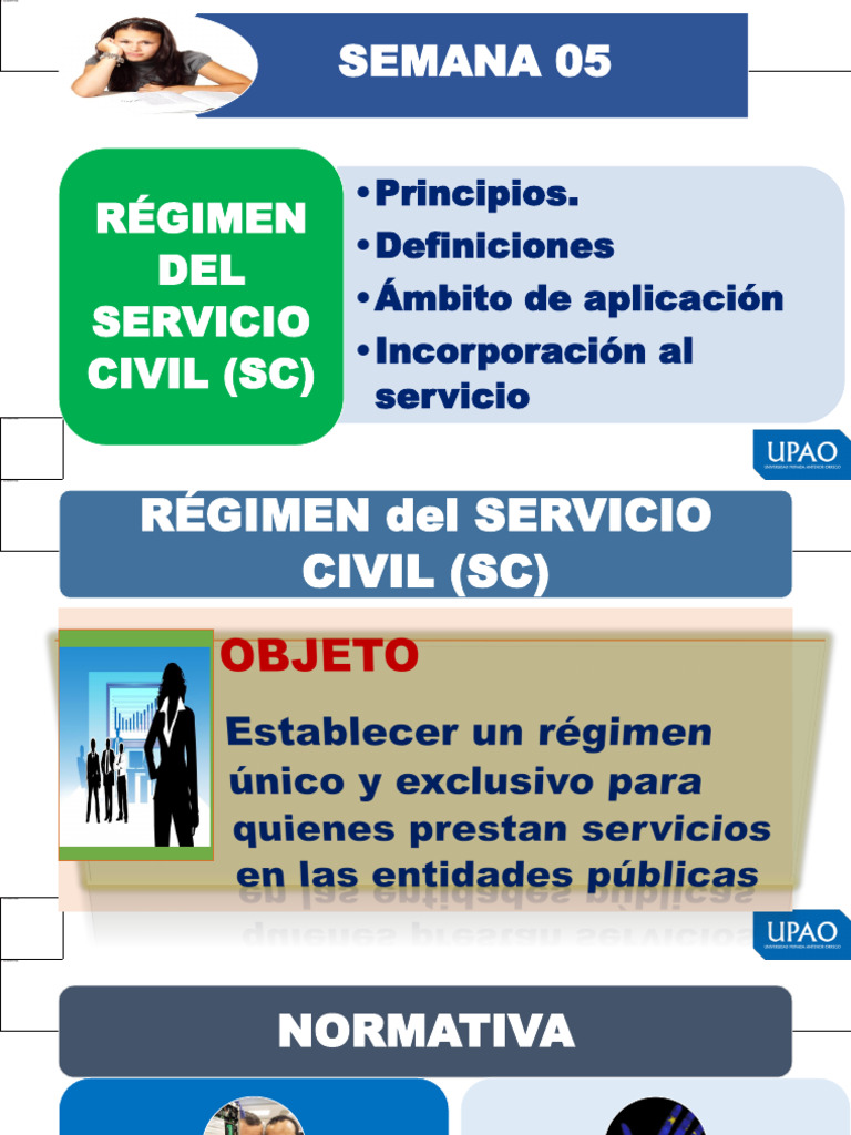 s5_ppt_ADMI II_DIAPO_RÉG SERV CIVIL_DEFINICIONES | PDF