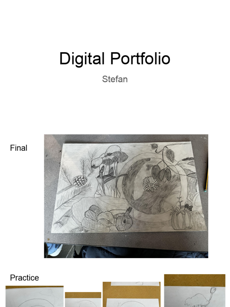 Digital Portfolio | PDF
