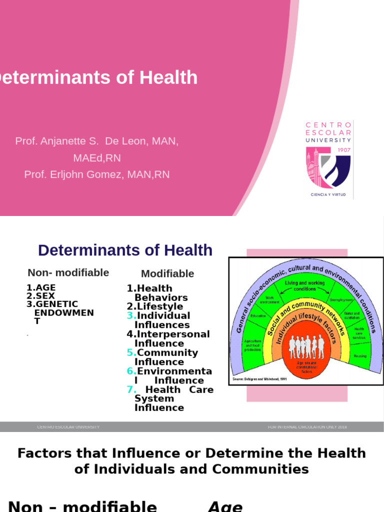 Determinants of Health | PDF