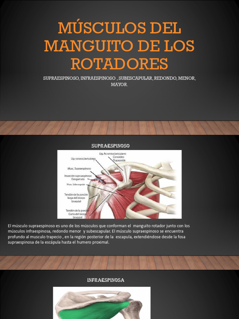Músculos Del Manguito de Los Rotadores | PDF