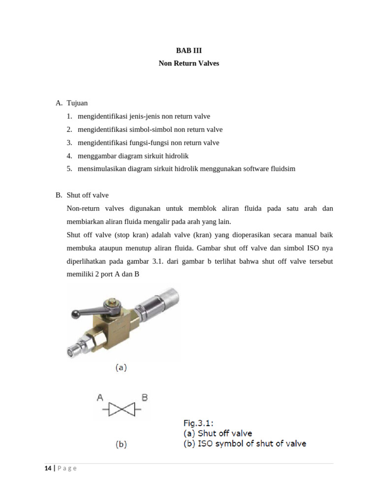 BAB III Non Return Valves | PDF