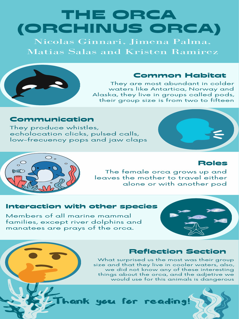 La Orca | PDF | Ciencia y matemáticas | Ficción general